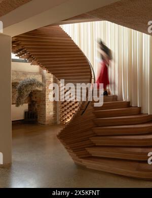 Sculptural curvaceous timber staircase with figure ascending. ACME ...