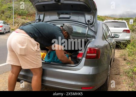 Man checking luggage in car trunk on road trip Stock Photo - Alamy