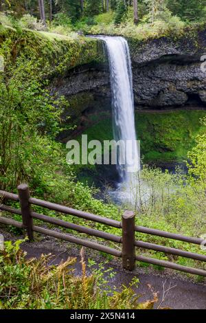 USA, Oregon, Silver Falls, Scenic view of waterfall in autumn forest ...