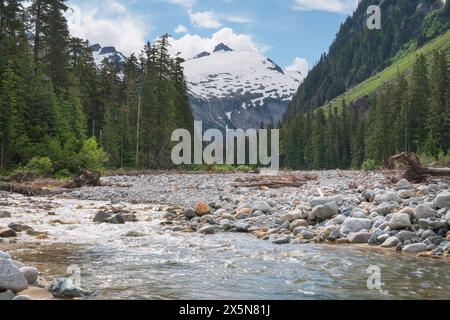 View of Icy Peak and Nooksack River from Nooksack Cirque Trail, North ...