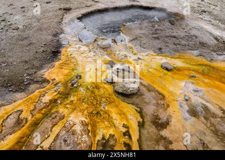 Ear Spring in the Upper Geyser Basin is named for its shape. It often ...