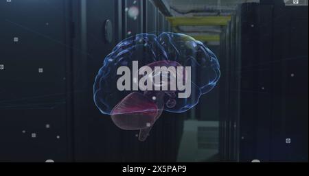 Image of human brain spinning and white brain Stock Photo - Alamy