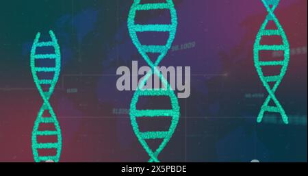 Image of dna strands spinning and numbers processing over world map ...