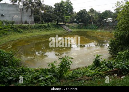 Pond 4 with Ghat of Panam City. Sonargaon, Narayanganj, Bangladesh ...