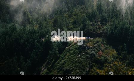 PAJARI Sami, Toyota GR Yaris Rally1, portrait during the 2025 Rally ...