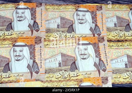 Saudi Arabia 10 SAR ten Saudi riyals cash money banknote with the photo ...