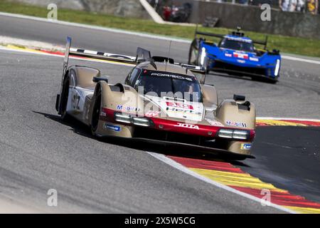 STEVENS Will (gbr), Cadillac Hertz Team Jota, Cadillac V-Series.R #12 ...