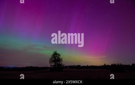 A rare G5 solar storm makes the Northern lights visible in Southern ...