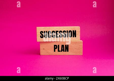 Succession plan words written on ripped yellow paper with blue ...