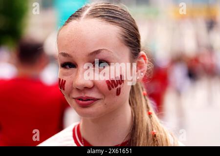 A fan ahead of the Adobe Women's FA Cup final at Wembley Stadium ...