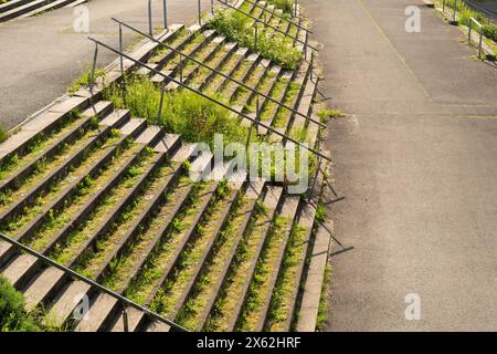 Wide steps, overgrown outside in the sun Stock Photo - Alamy
