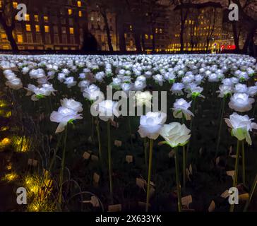 Illuminated faux white roses in the The Ever After Garden in Grosvenor ...