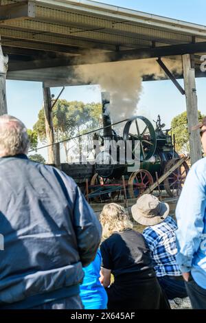 A preserved Marshall and Sons steam traction engine Stock Photo - Alamy