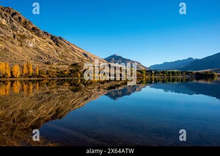 Lake Wanaka in summer, Glendhu Bay, South Island, New Zealand Stock ...