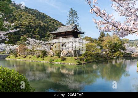 IWAKUNI, Japan - People in Iwakuni, Yamaguchi Prefecture protest ...