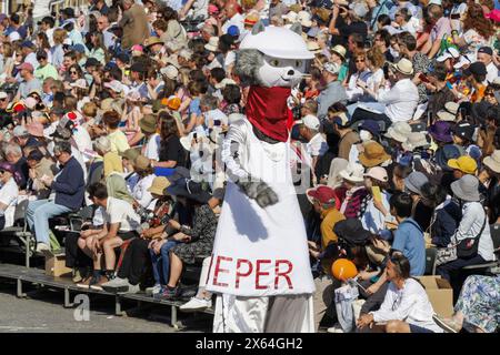 Ieper, Belgium. 12th May, 2024. A man in costume throws teddy-cat-toys ...