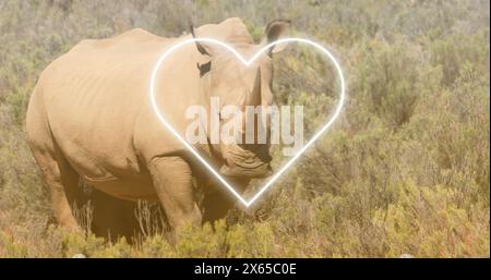 Image of heart over rhino on savanna Stock Photo - Alamy