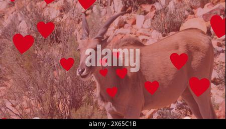 Image of hearts over antelope on savanna Stock Photo - Alamy