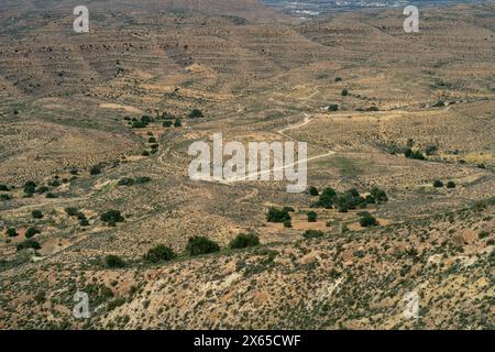 Dahar, southern Tunisian region, green after the rain Stock Photo - Alamy