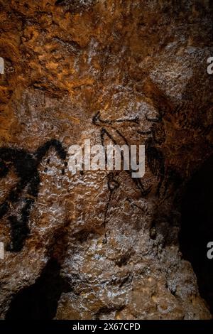 Sightseeing tour of Lascaux IV, the last complete replica of the ...