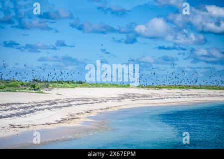 Bush Key with land bridge to Fort Jefferson on Dry Tortugas National ...