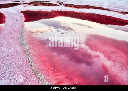 Remaining pools of vivid pink water in Maharloo Lake, aka the Pink Lake ...