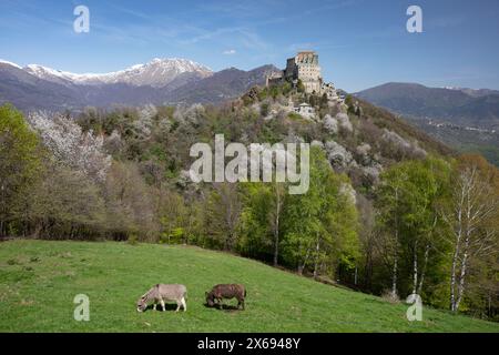 Piedmont, Sacra di San Michele, monastery, Alps Stock Photo - Alamy
