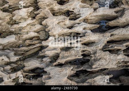 washed out stone on the beach of Guadeloupe Stock Photo - Alamy