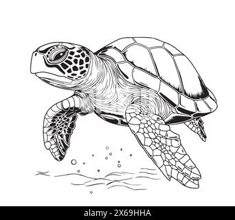 Sea turtle hand drawn engraving style sketch Underwater animals Vector ...