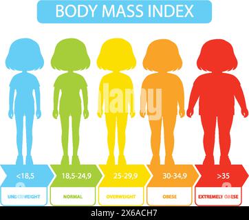 Illustration of BMI categories and ranges Stock Vector Image & Art - Alamy