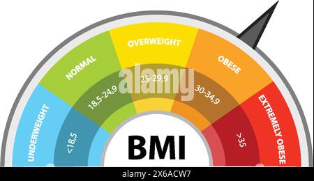 Colorful BMI gauge showing weight categories Stock Vector Image & Art ...
