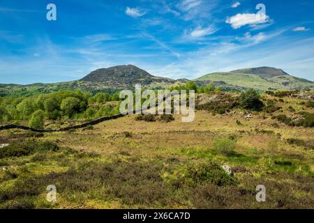 The moors above Beddgellert in Snowdonia North Wales. Nantmor and Nant ...