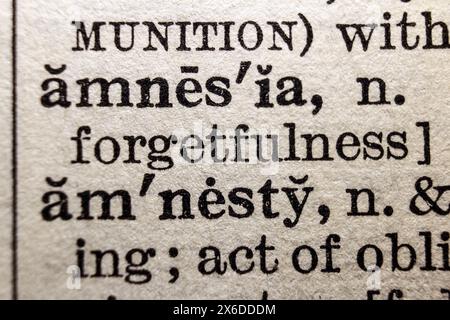 Words amnesia and amnesty on dictionary page, macro close-up Stock ...