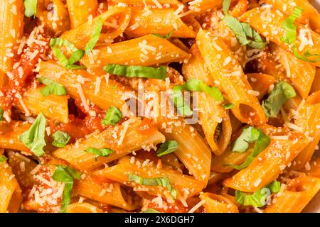 Italian Homemade Pennoni Pasta with Tomato Sauce and Basil Stock Photo ...