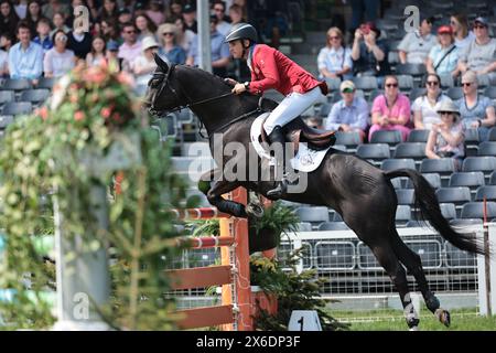 Boyd Martin of the United States with Tsetserleg Tsf saluting the ...
