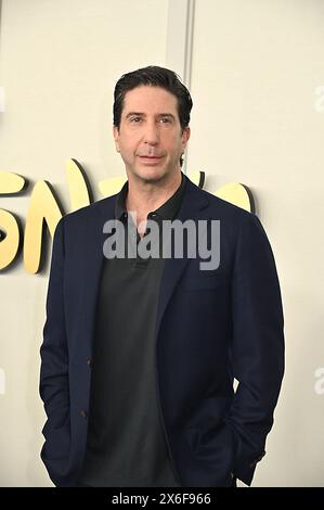 David Schwimmer attends the Disney 2024 Upfront at the North Javits ...
