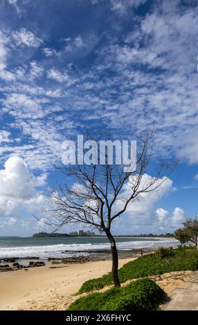 The rocky beach of Mooloolaba, Queensland, Sunshine Coast, Australia in ...