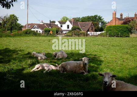 Powick village, Worcestershire, England, UK Stock Photo - Alamy