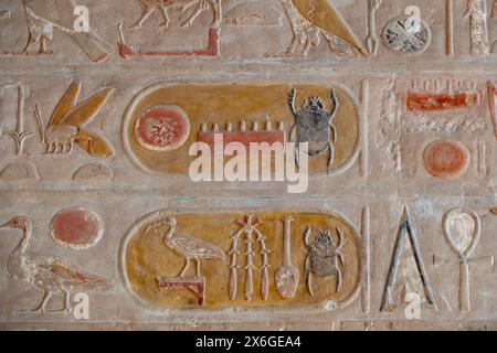 Cartouche of Thutmose III at the Temple of Hatshepsut at Deir el Bahari ...