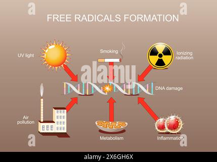 DNA damage. DNA can be damaged via UV light, ionizing radiation ...