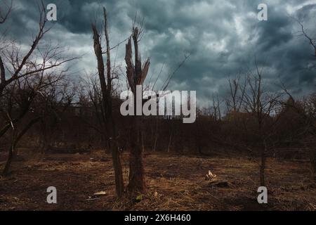 nature devastated by drought and extreme weather Stock Photo - Alamy