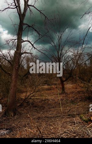 nature devastated by drought and extreme weather Stock Photo - Alamy