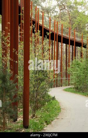The "Cycling through trees" elevated cycle route in the Bosland ...
