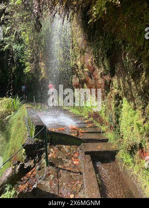 Levada do Rei Hike, Madeira Island, King water channel hike Stock Photo ...