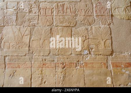 Punt reliefs at theTemple of Hatshepsut at Deir el Bahari, West Bank ...