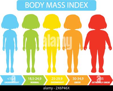 Illustration of BMI categories and ranges Stock Vector Image & Art - Alamy