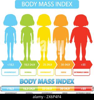Visual representation of BMI categories and ranges Stock Vector Image ...