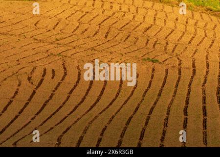 A field has been ploughed in preparation for crops being planted ...