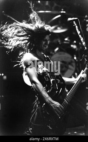The Lynch Mob performing in Mexico 1996 Credit: Ross Pelton/MediaPunch ...