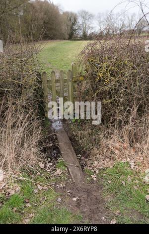 Waterlogged soil after continual heavy rain bars easy access across a ...